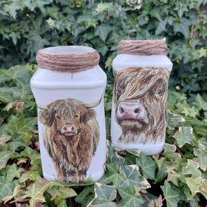 Highland Cow Jars - Etsy