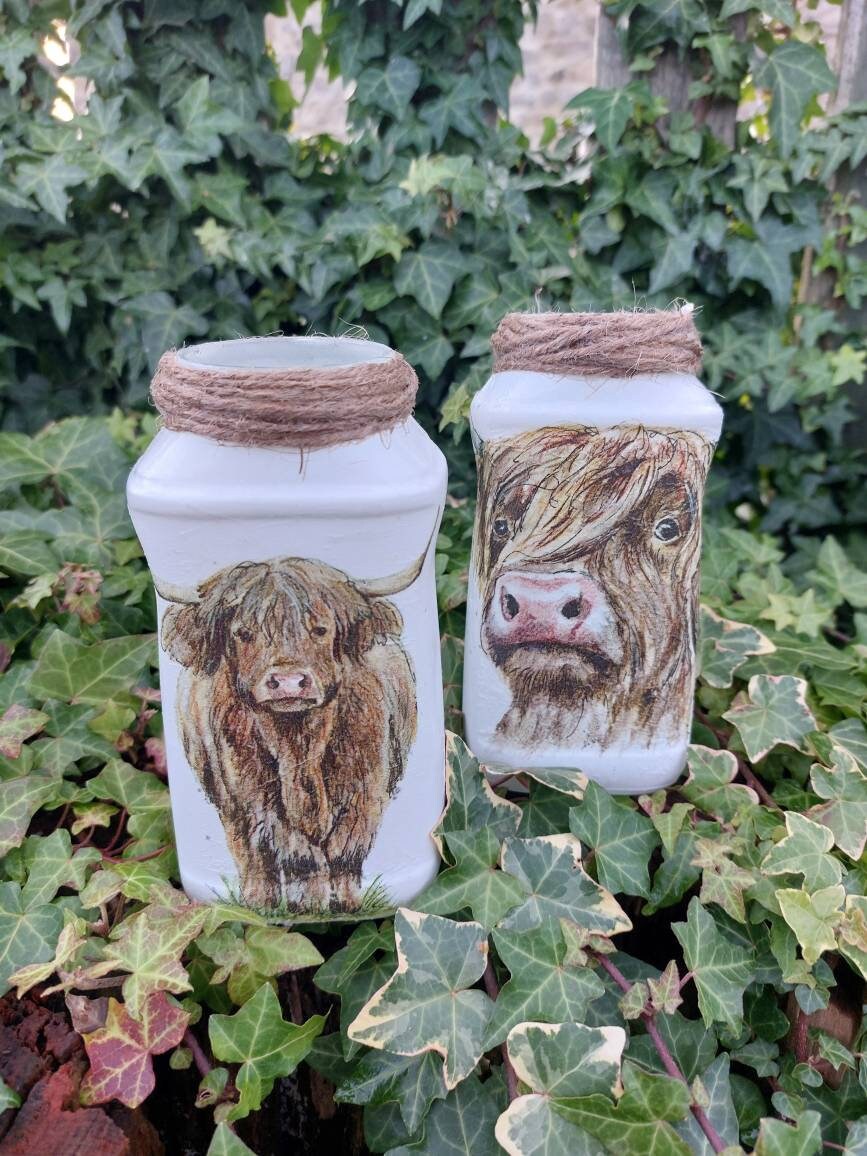 Highland Cow Jars - Etsy