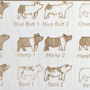 Personalized Show Pig Brush: Custom Livestock Supplies - Purple - Etsy
