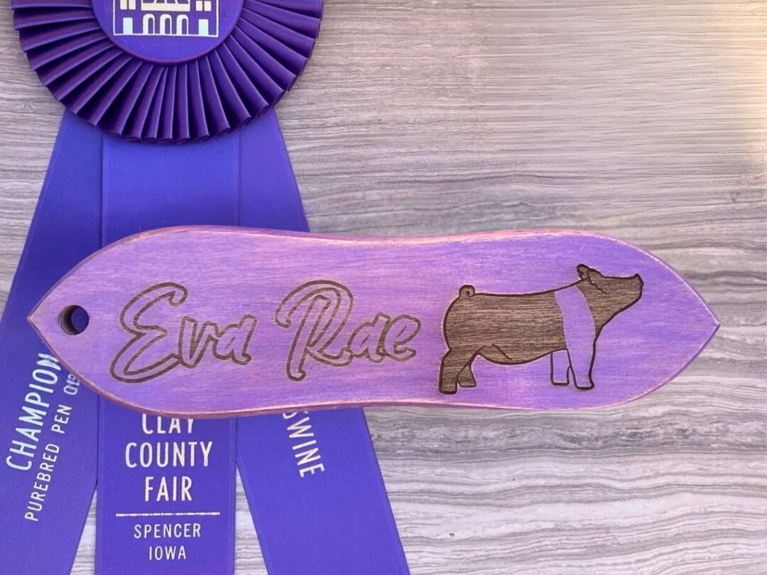 Custom Show Brush, Show Pig Brush, Personalized Livestock Supplies ...