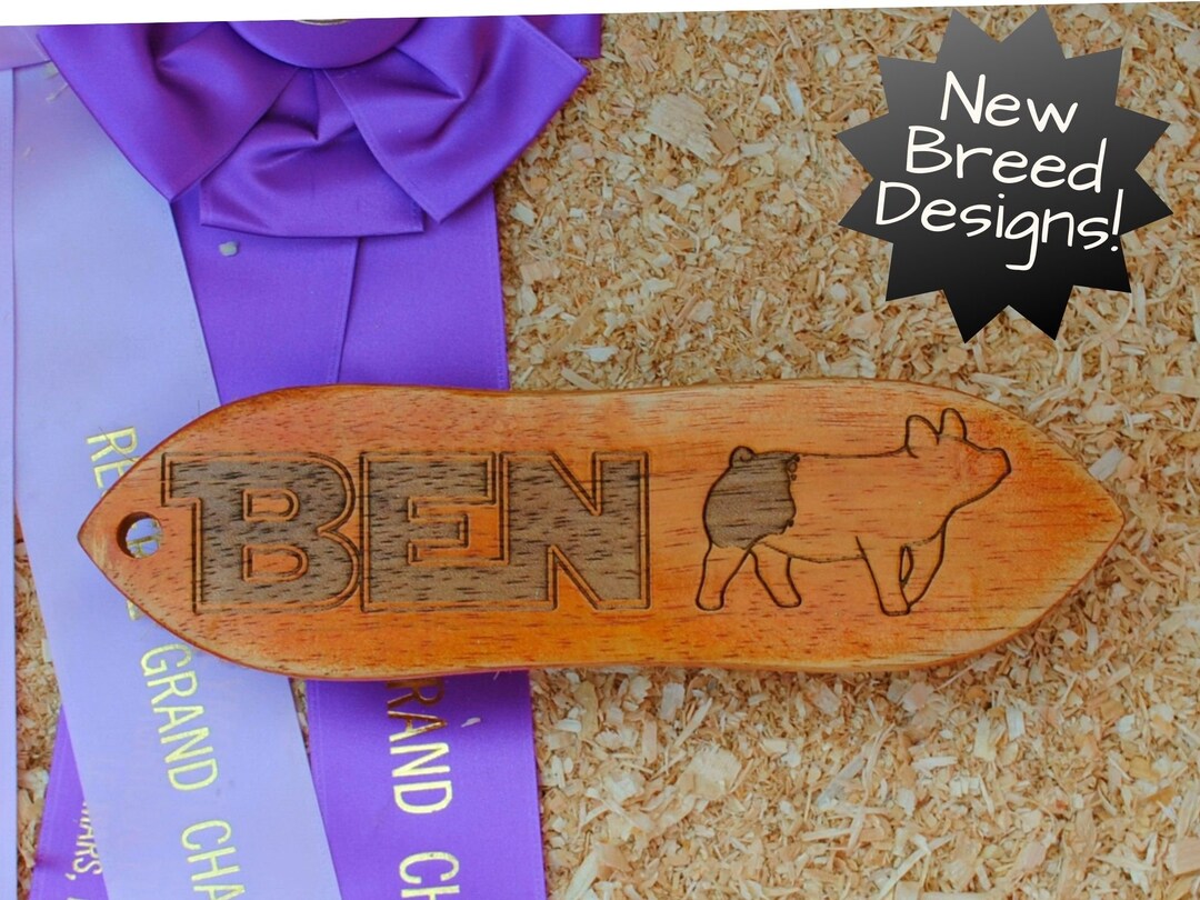 Custom Show Brush, Show Pig Brush, Personalized Livestock Supplies ...