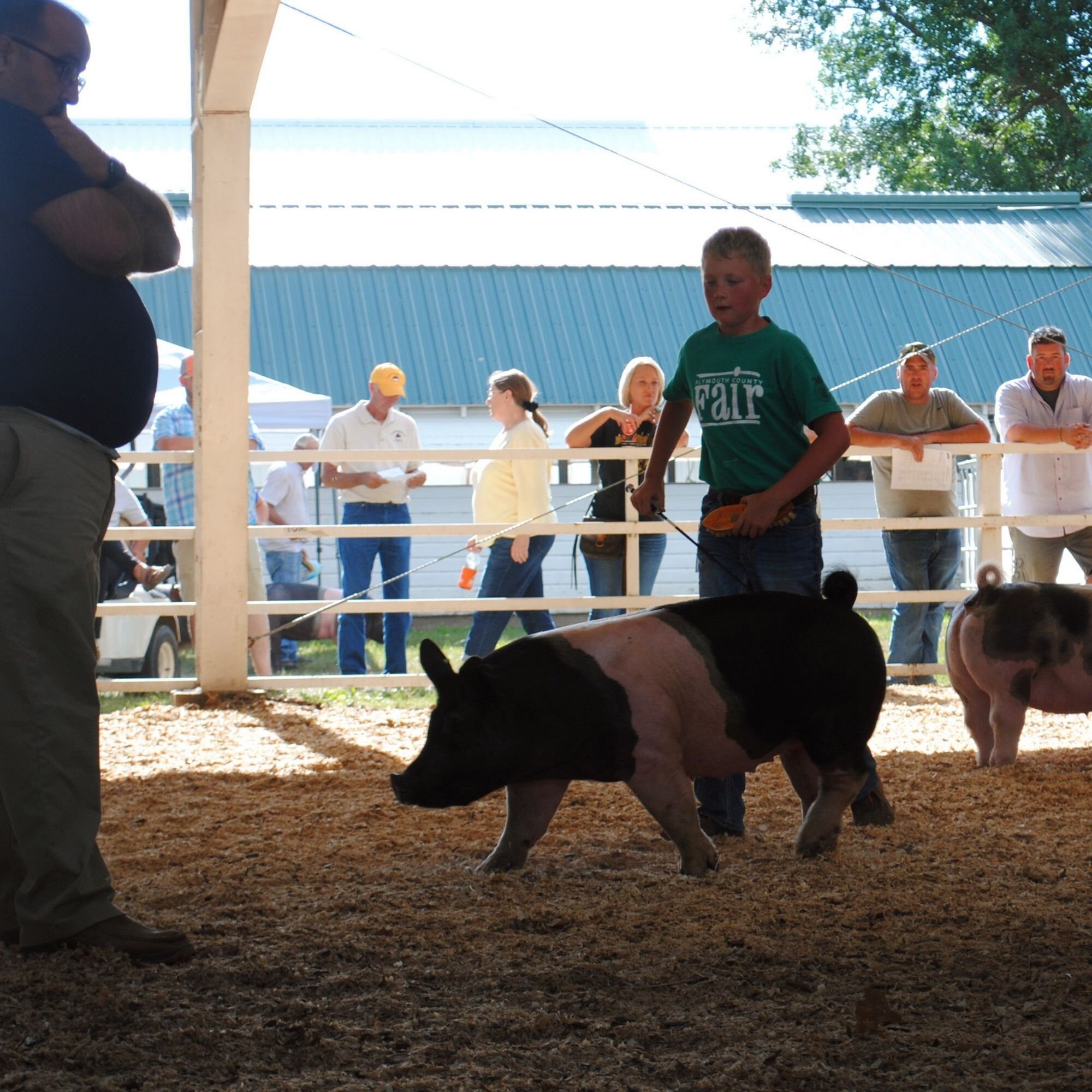 Personalized Show Pig Brush: Custom Livestock Supplies - Etsy