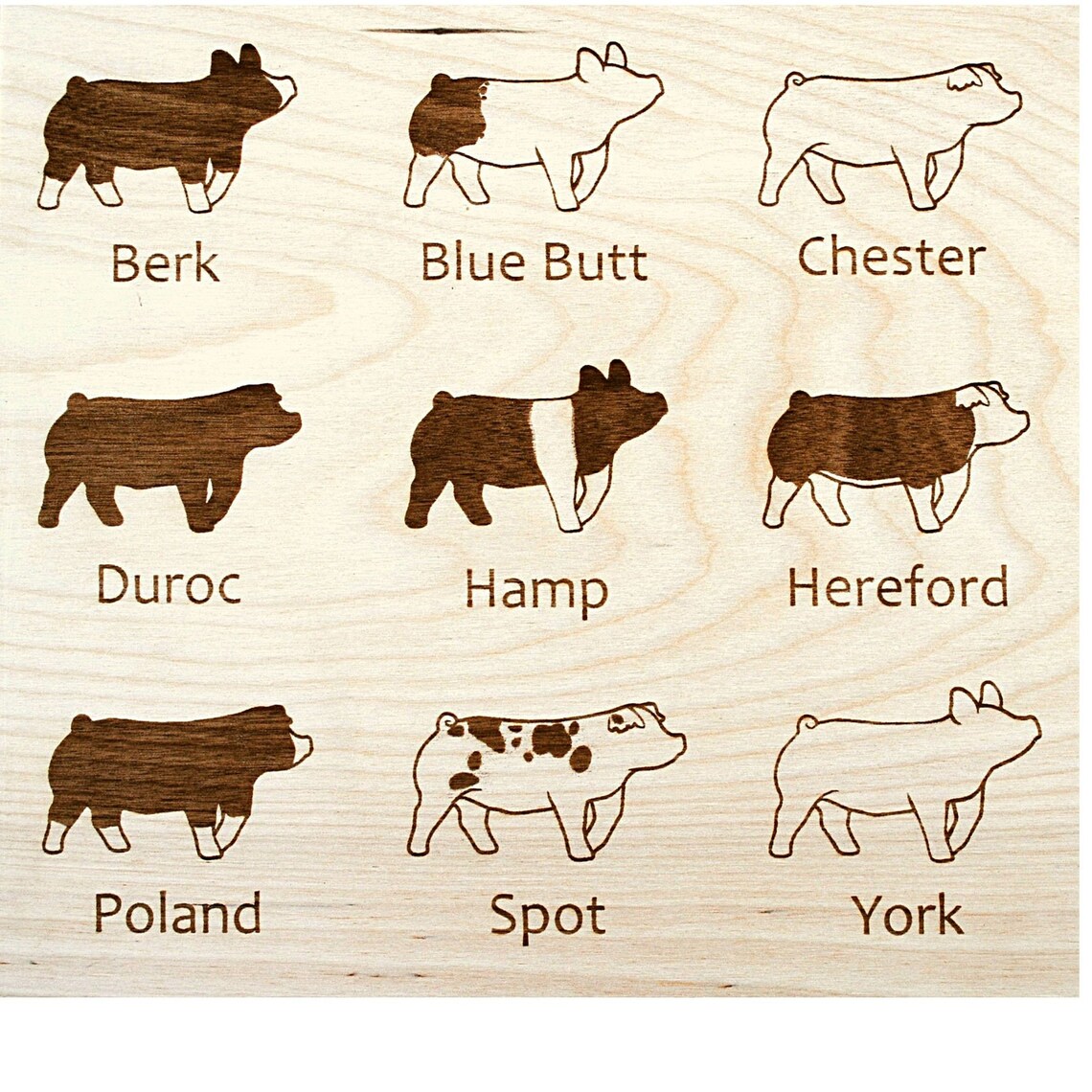 Custom Show Brush Show Pig Brush Personalized Livestock - Etsy