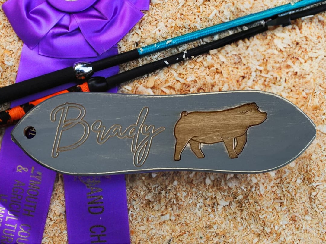 Custom Show Brush, Show Pig Brush, Personalized Livestock Supplies ...