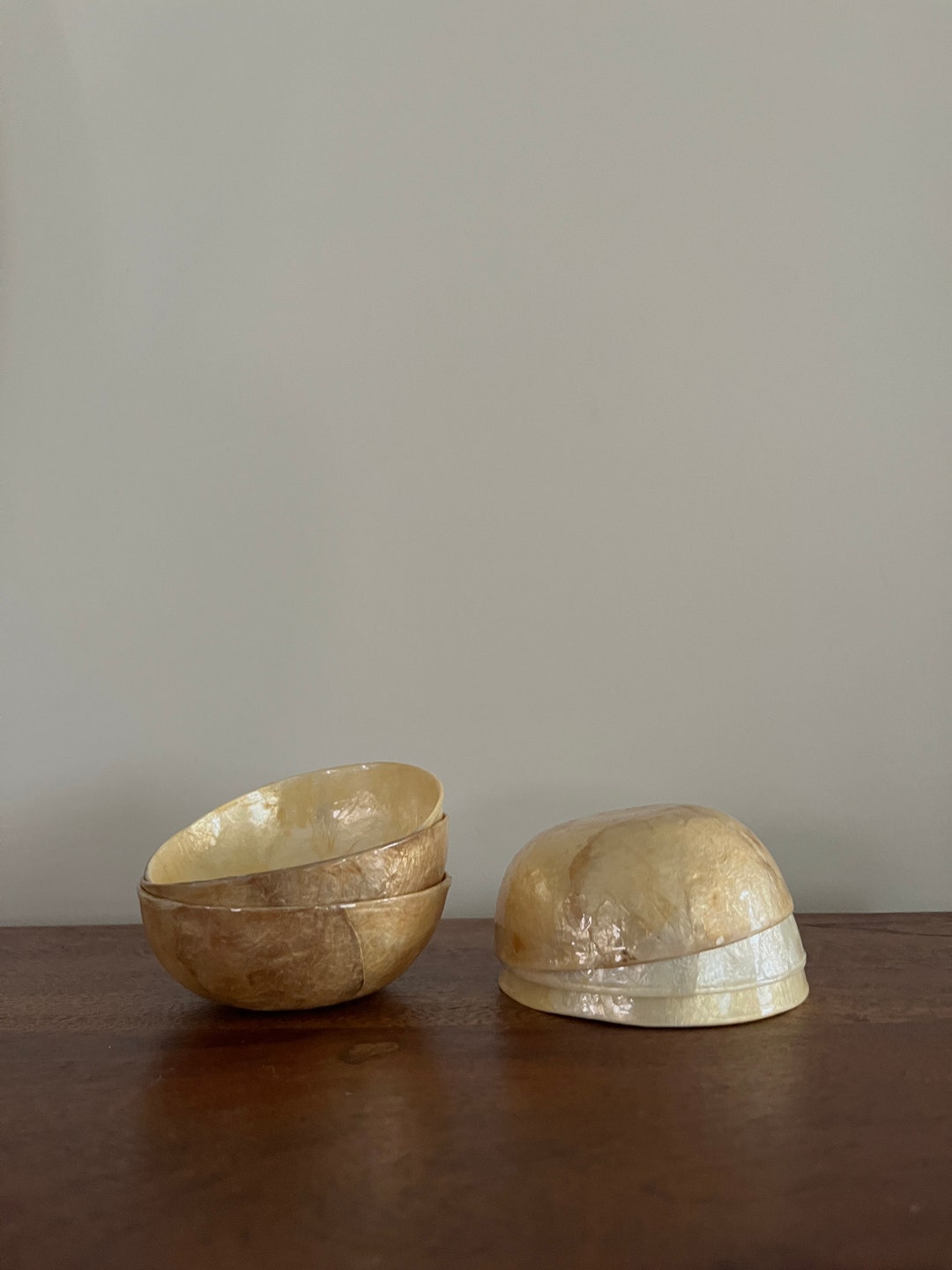 Vintge Capiz Shell Dishes - Vintage Shell Bowls - Vintage Dishware - Etsy