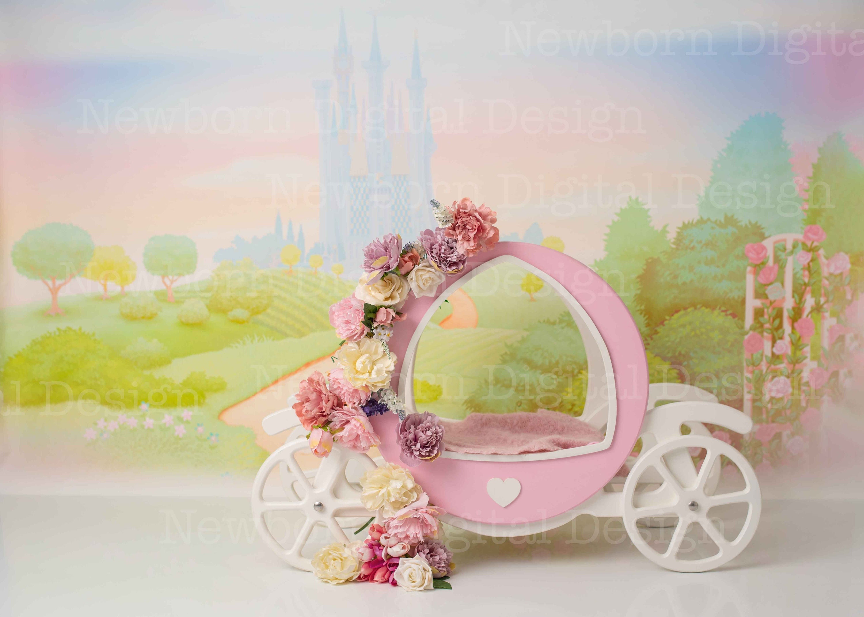Newborn Carriage Digital Backdrop, Princess Digital Backdrop, Carriage ...