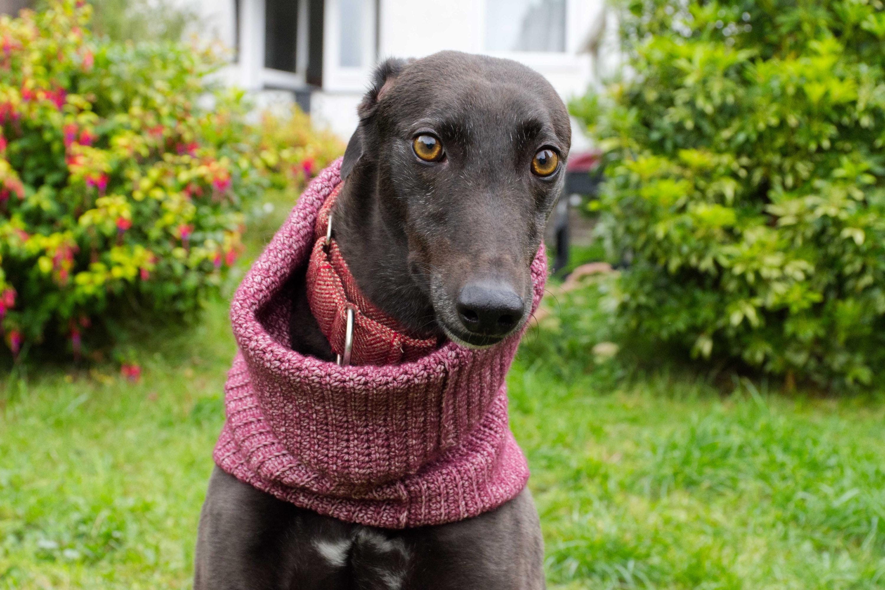 Faye Dog Snood Crochet Pattern - Etsy