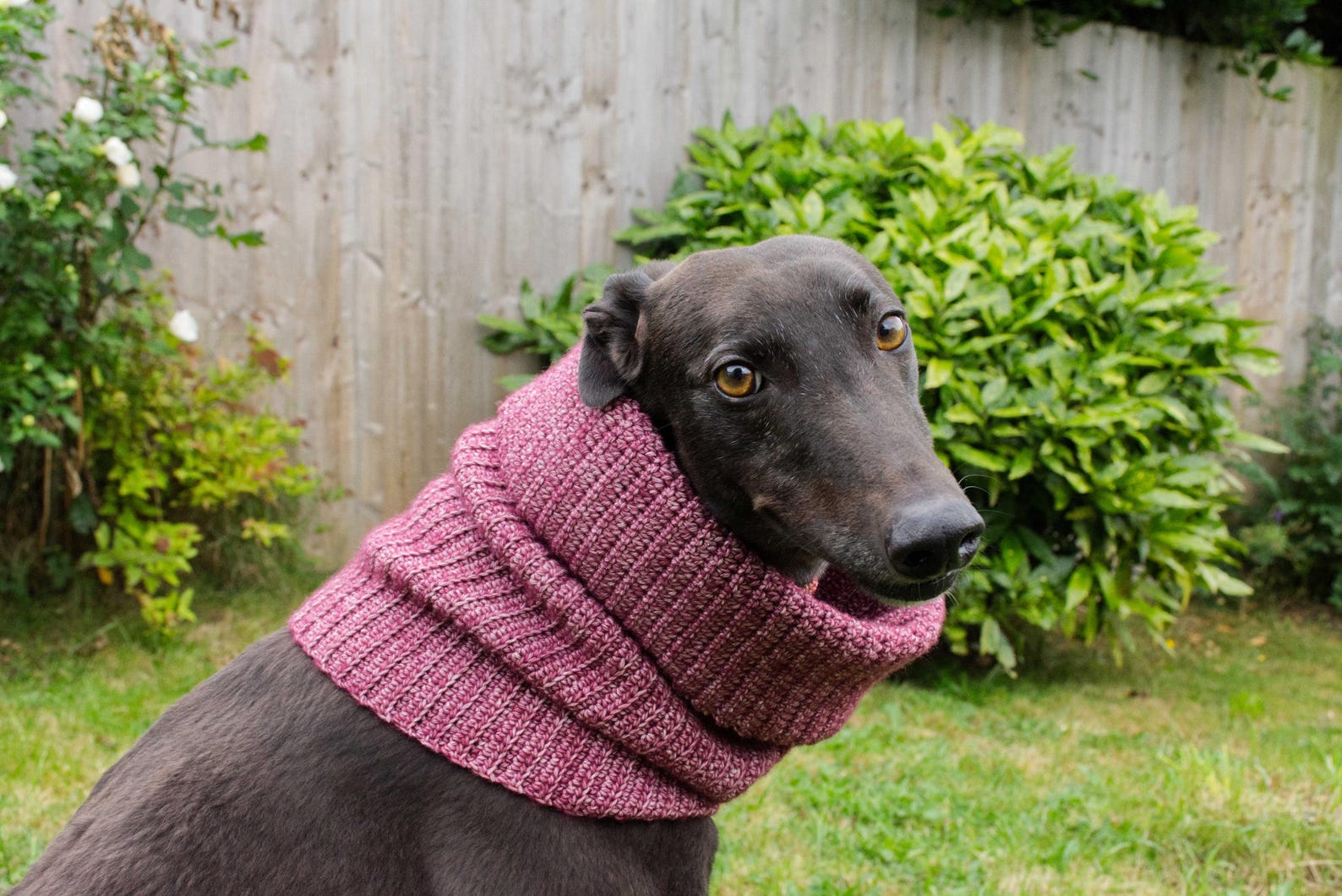 Faye Dog Snood Crochet Pattern - Etsy