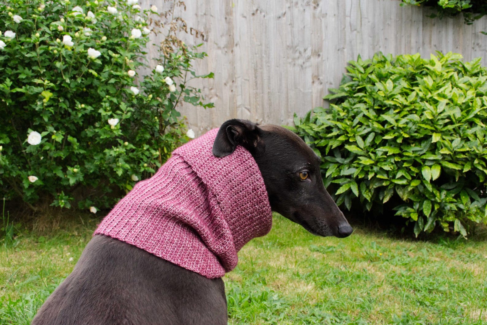 Faye Dog Snood Crochet Pattern - Etsy