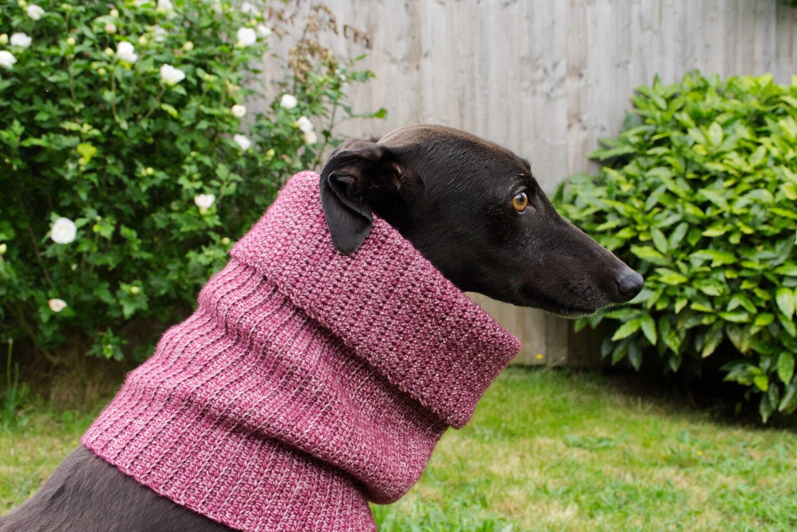 Faye Dog Snood Crochet Pattern - Etsy