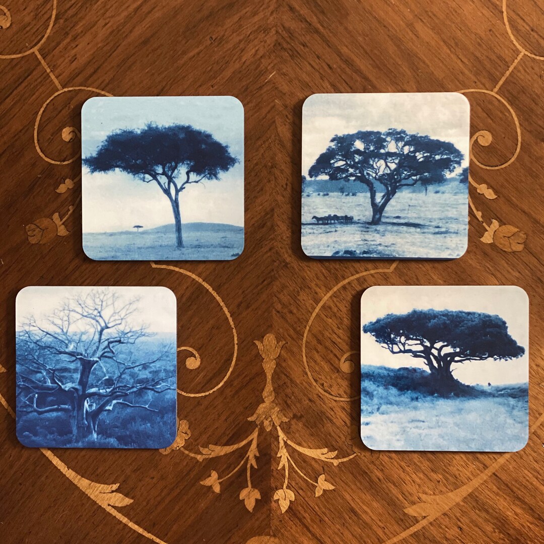 African Tree Coaster Set – Cyanotype Photography, Safari Home Decor - Etsy