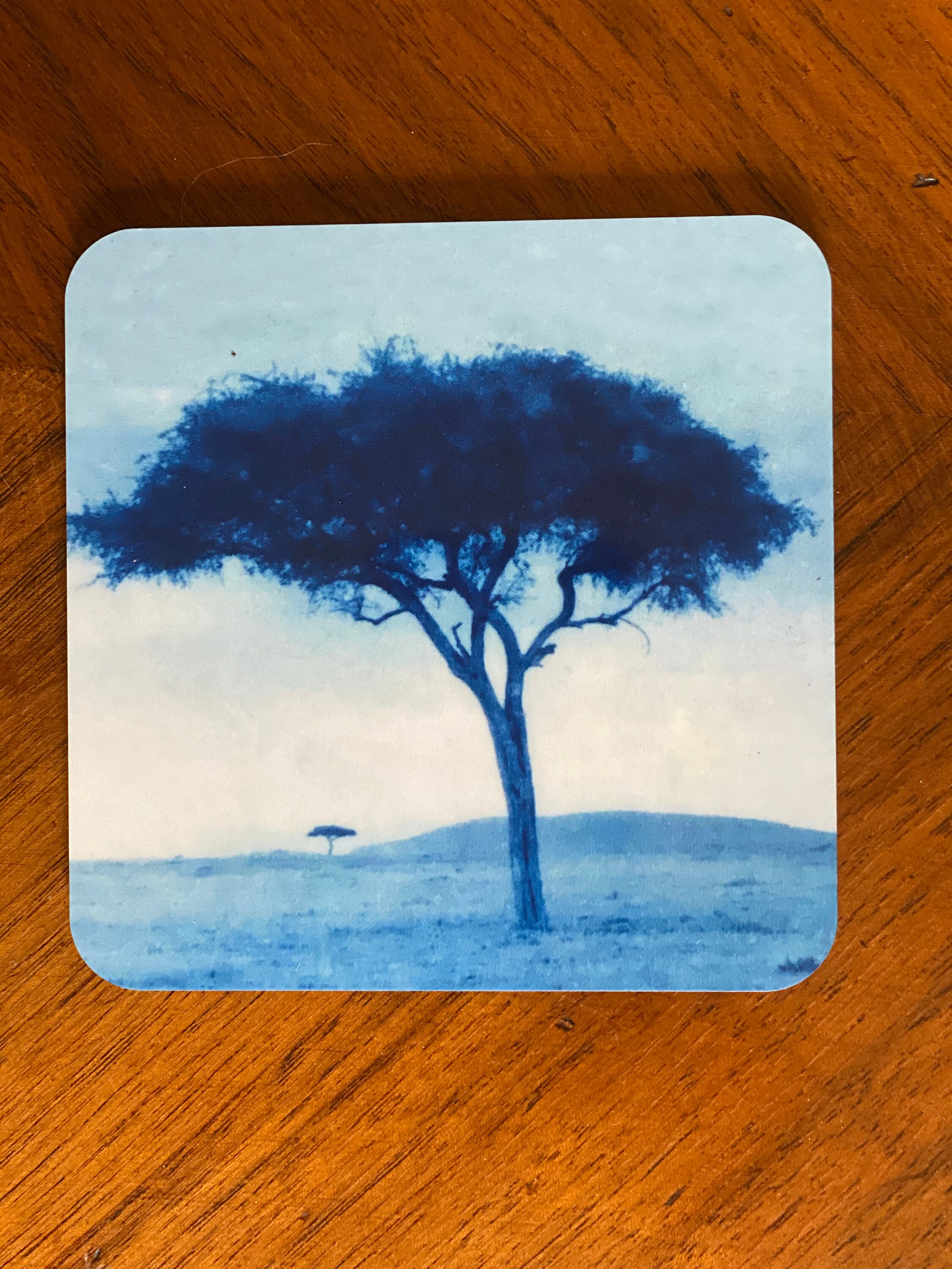 African Tree Coaster Set – Cyanotype Photography, Safari Home Decor - Etsy