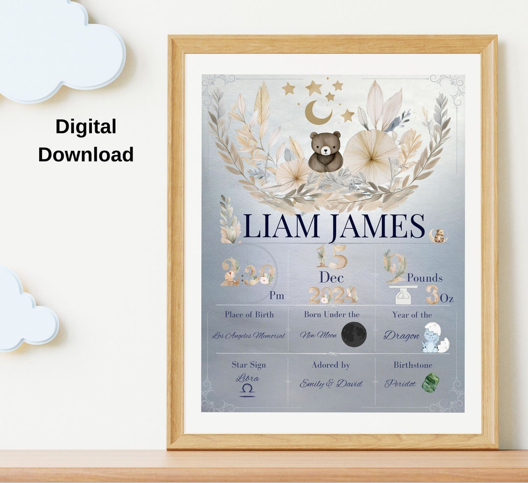 Personalized Baby Boy Birth Poster | Custom Baby Name, Date, Weight ...