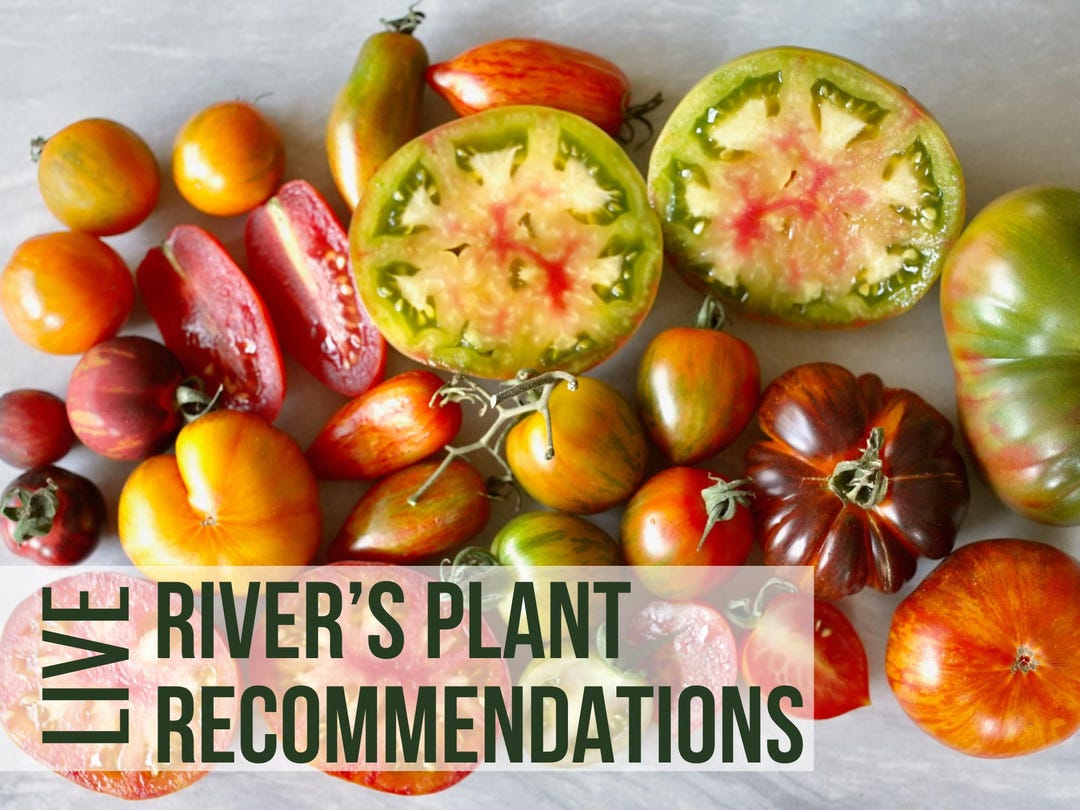 PREORDER River's Plant Recommendations, Surprise Plants for Adventurous ...