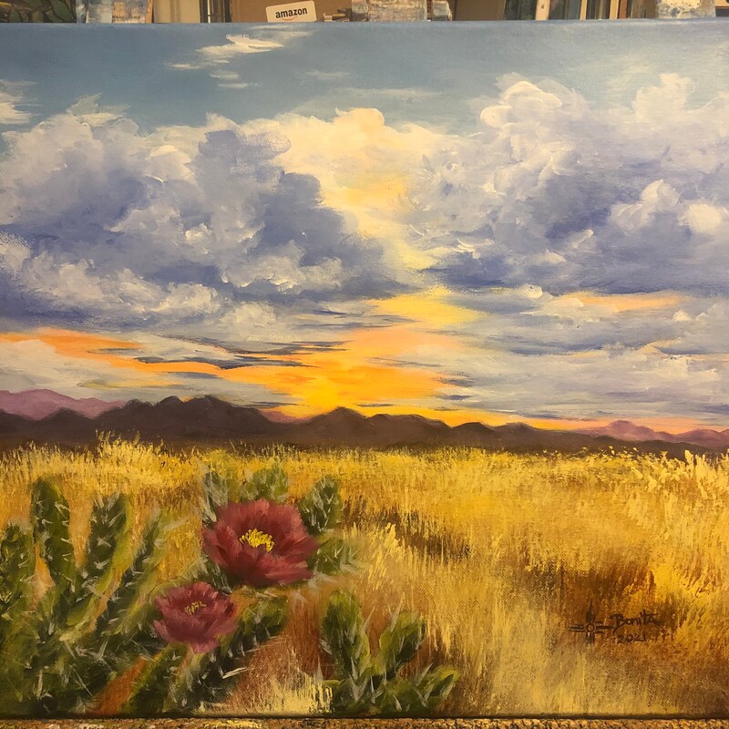 Cholla Cactus - Etsy