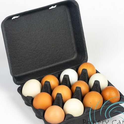 30 Vintage Chicken Egg Cartons - Etsy