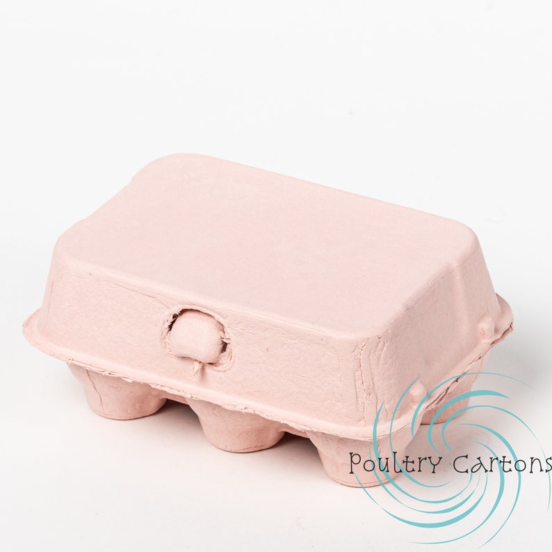 Pink Paper Pulp Chicken Egg Cartons (6 Eggs) - Etsy