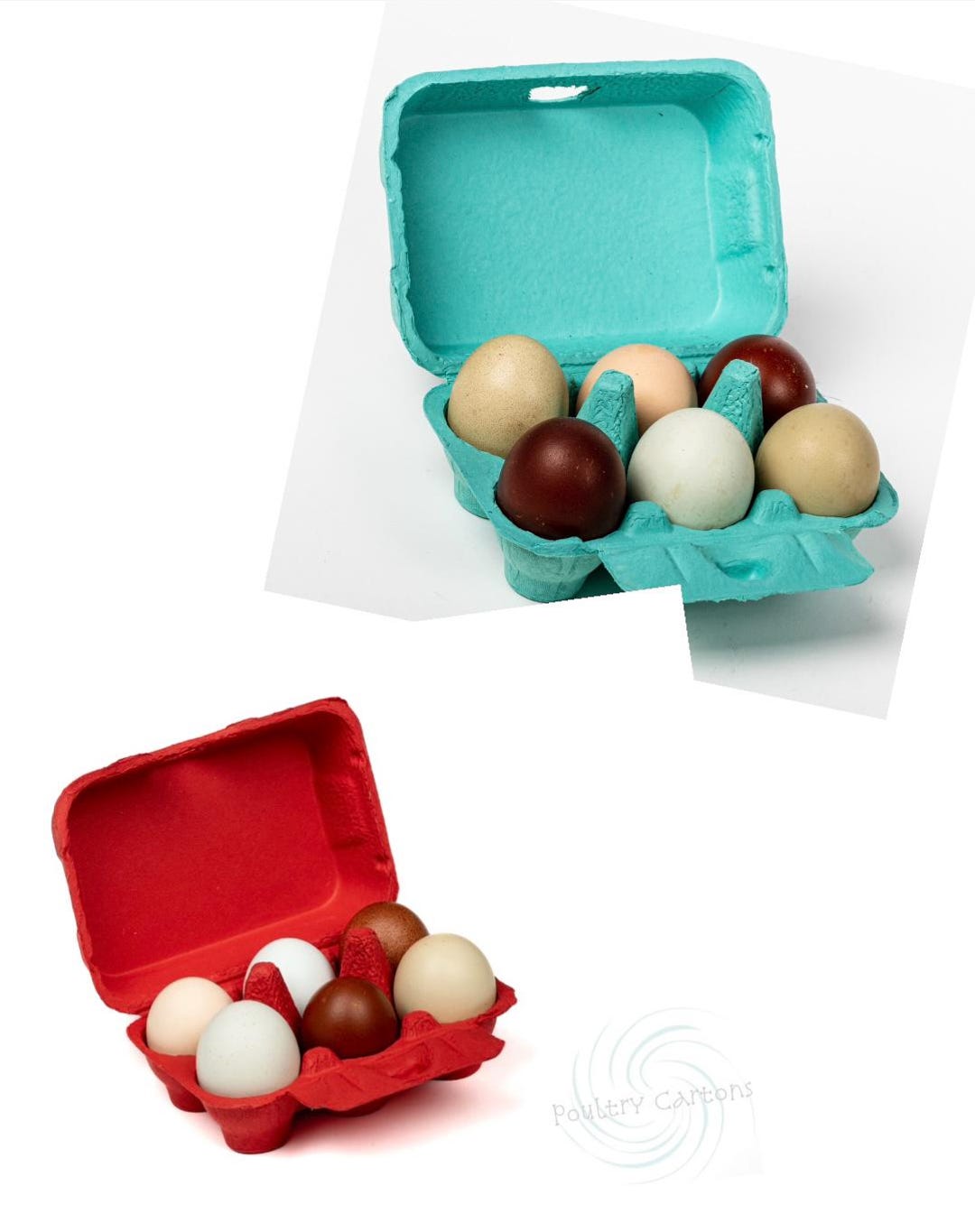 Thing 1 and Thing 2 Paper Pulp Chicken Egg Cartons (6 Eggs) - Etsy