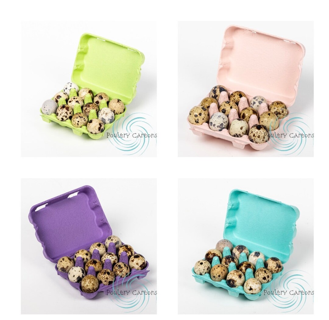 April's Paper Pulp Quail Egg Cartons (12 Eggs) - Etsy