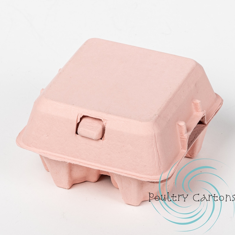 Pink Paper Pulp Chicken Egg Cartons (4 Eggs) - Etsy