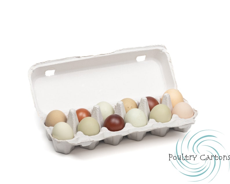 Paper Pulp Chicken Egg Cartons (12 Eggs) - Etsy