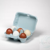 Chick or Poultry Shipping Boxes (5 Count) - Etsy