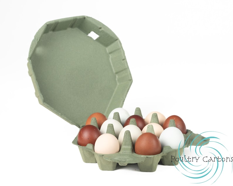 Kelsey Green Octagon Paper Pulp Chicken Egg Cartons (12 Eggs) - Etsy