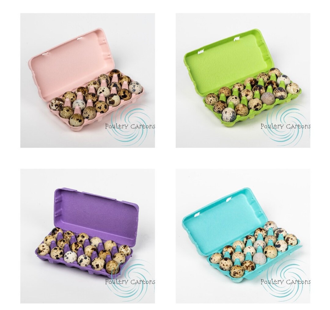 April's Paper Pulp Quail Egg Cartons (18 Eggs) - Etsy