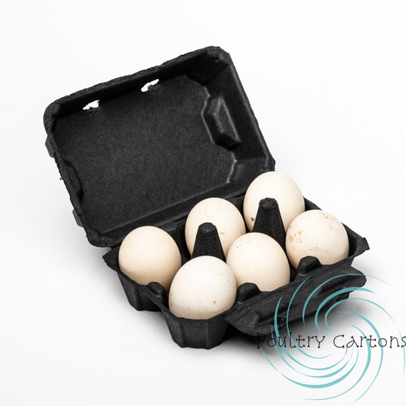 Black Duck Egg Cartons - Etsy