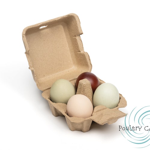 Pink Paper Pulp Chicken Egg Cartons 6 Eggs - Etsy