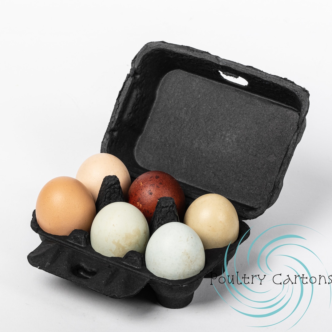 Black Paper Pulp Chicken Egg Cartons (6 Eggs) - Etsy