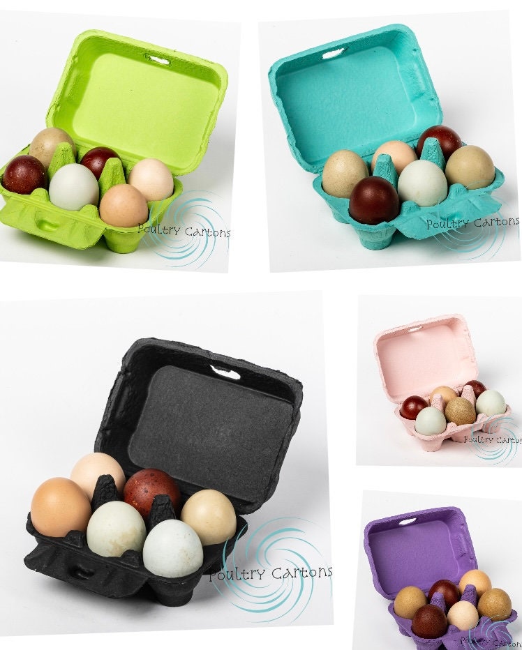 Assortment Paper Pulp Chicken Egg Cartons (6 Eggs) - Etsy