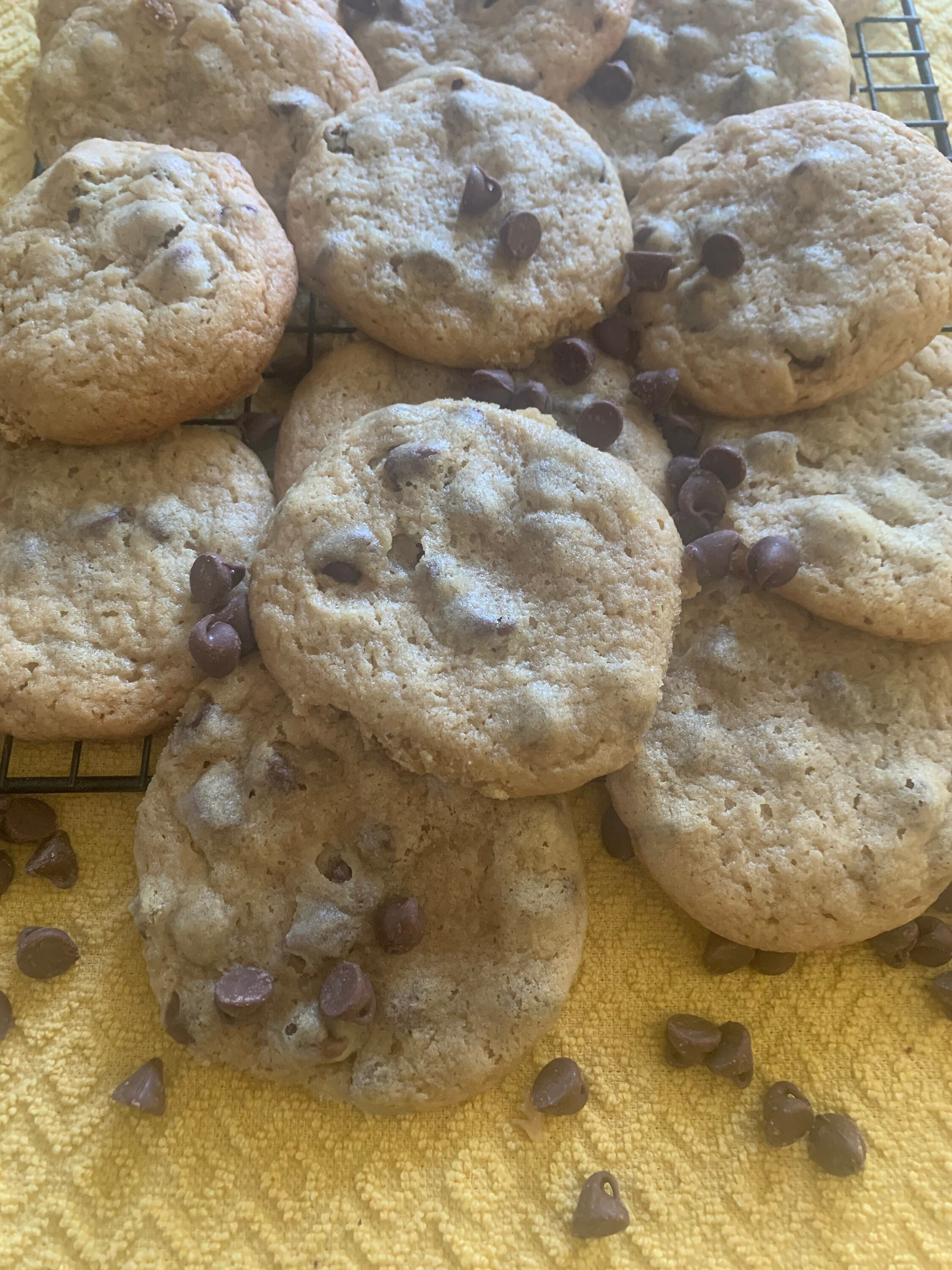 Chocolate Chip Cookies / 1 Dozen Cookies / 1 Dozen Chocolate Chip ...