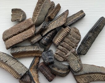 Stingray Teeth - Etsy