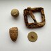 Rare Fossilized Dolphin Tooth Perfect Condition From Calvert Cliffs Md ...