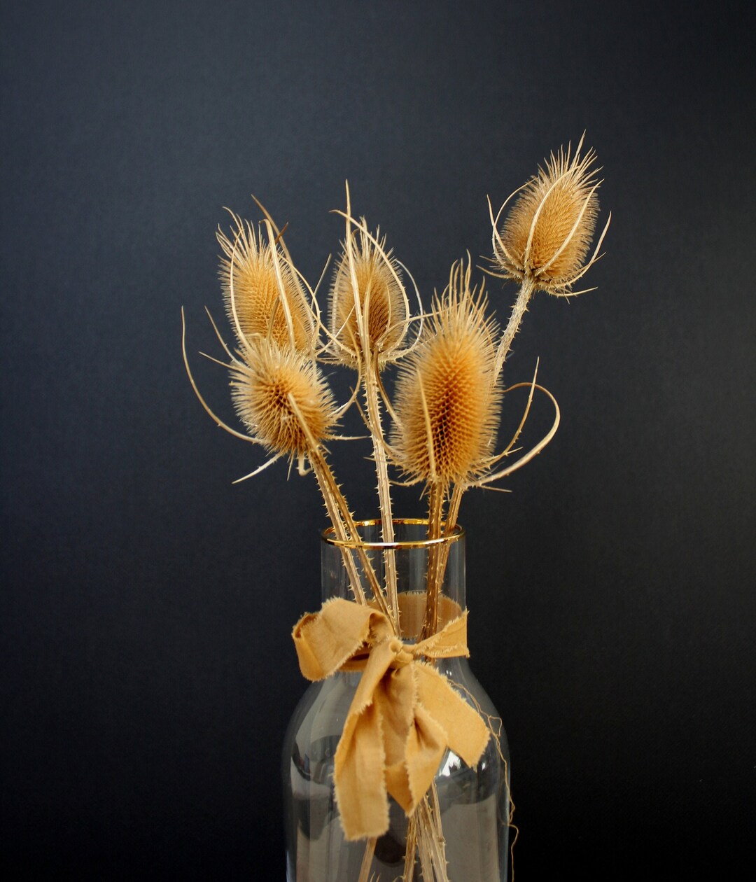 Dried Flower, Caramel Thistle, Wild Teasel - Etsy