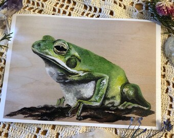 Green Tree Frog | Etsy