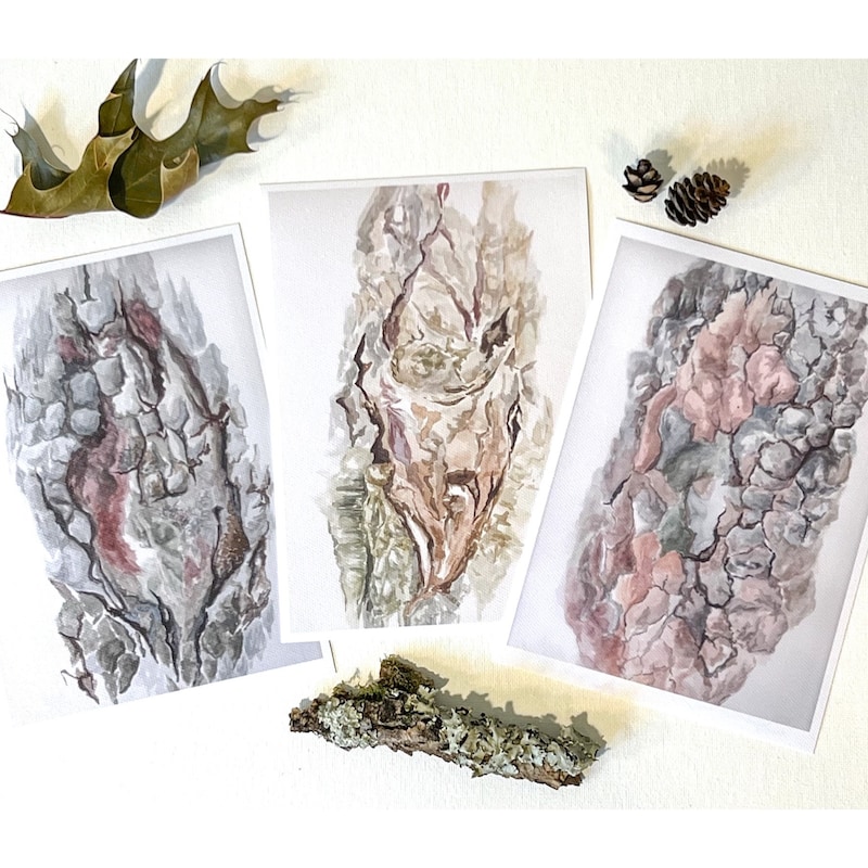 American red bud tree - Etsy Österreich