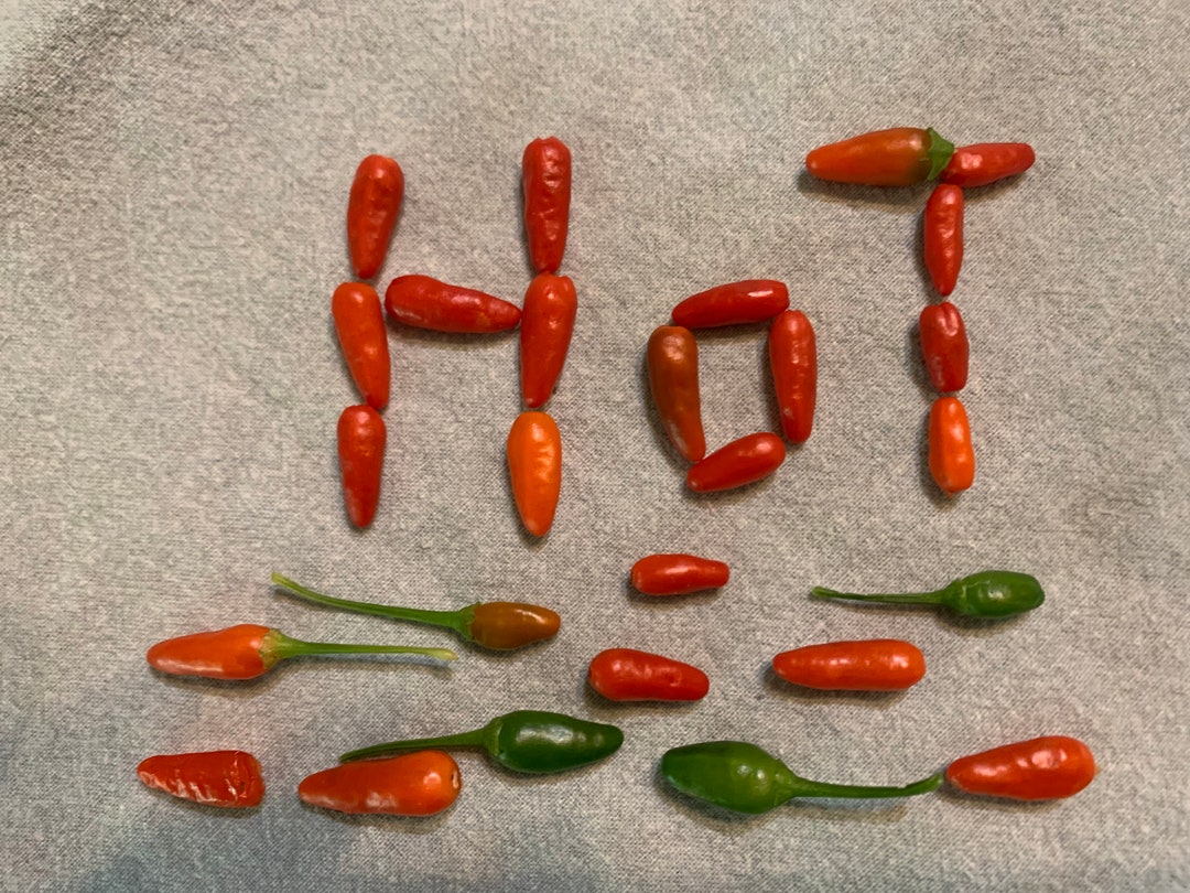 Chili Peguin Pepper - Etsy