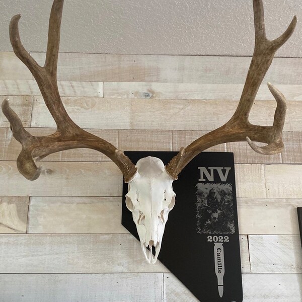 European Mount - Etsy