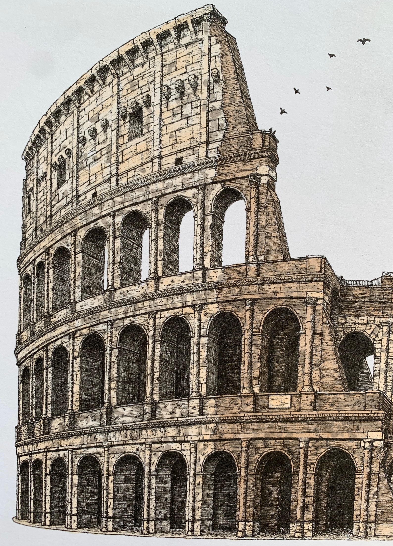 THE COLOSSEUM (print) Coloured Illustration - Etsy