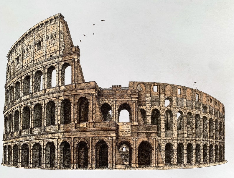 THE COLOSSEUM (print) Coloured Illustration - Etsy