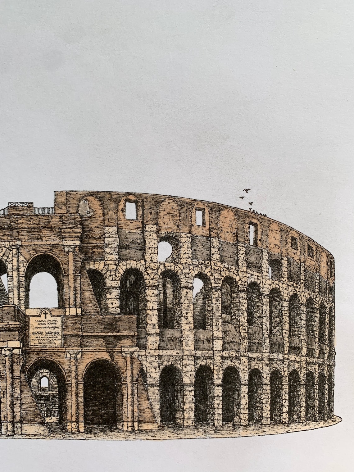 THE COLOSSEUM (print) Coloured Illustration - Etsy