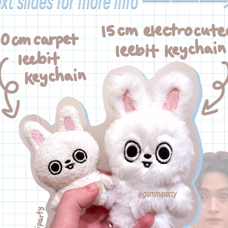 Skzoo Plush Leebit - Etsy