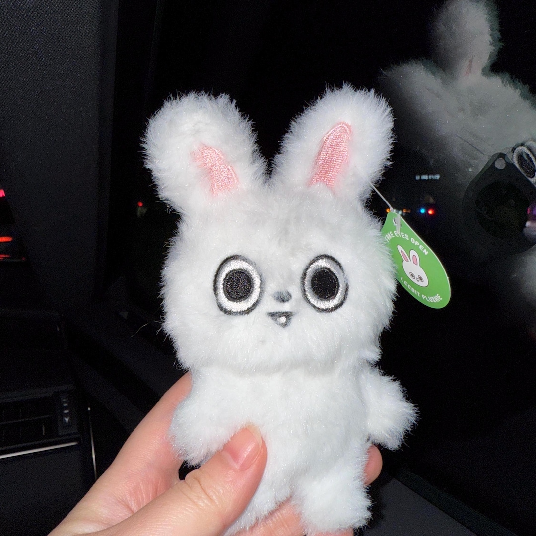 Fake Eyes Open Leebit Plush - Etsy