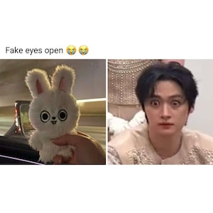 Fake Eyes Open Leebit Plush - Etsy