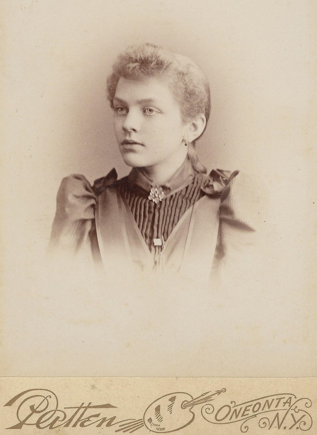 C. 1800'S Beautiful Young Woman Oneonta Otsego County NY New York ...