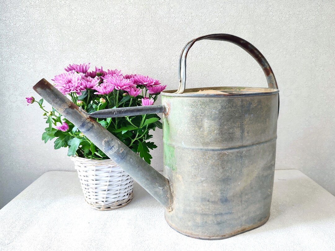 Antique Watering Can for Garden / Farmhouse Outdoor Decor / Vintage ...