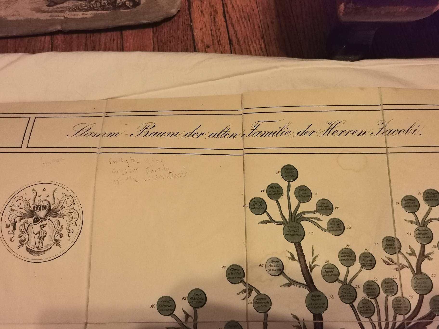 Jacobi Family Tree - Historic Piece Beginning 1500's - Etsy