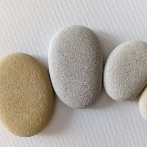 Medium - Large Oval Beach Stones for Painting 5 Pieces - Etsy